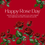 Valentine's Week 2025: Full Calendar & Celebration Guide